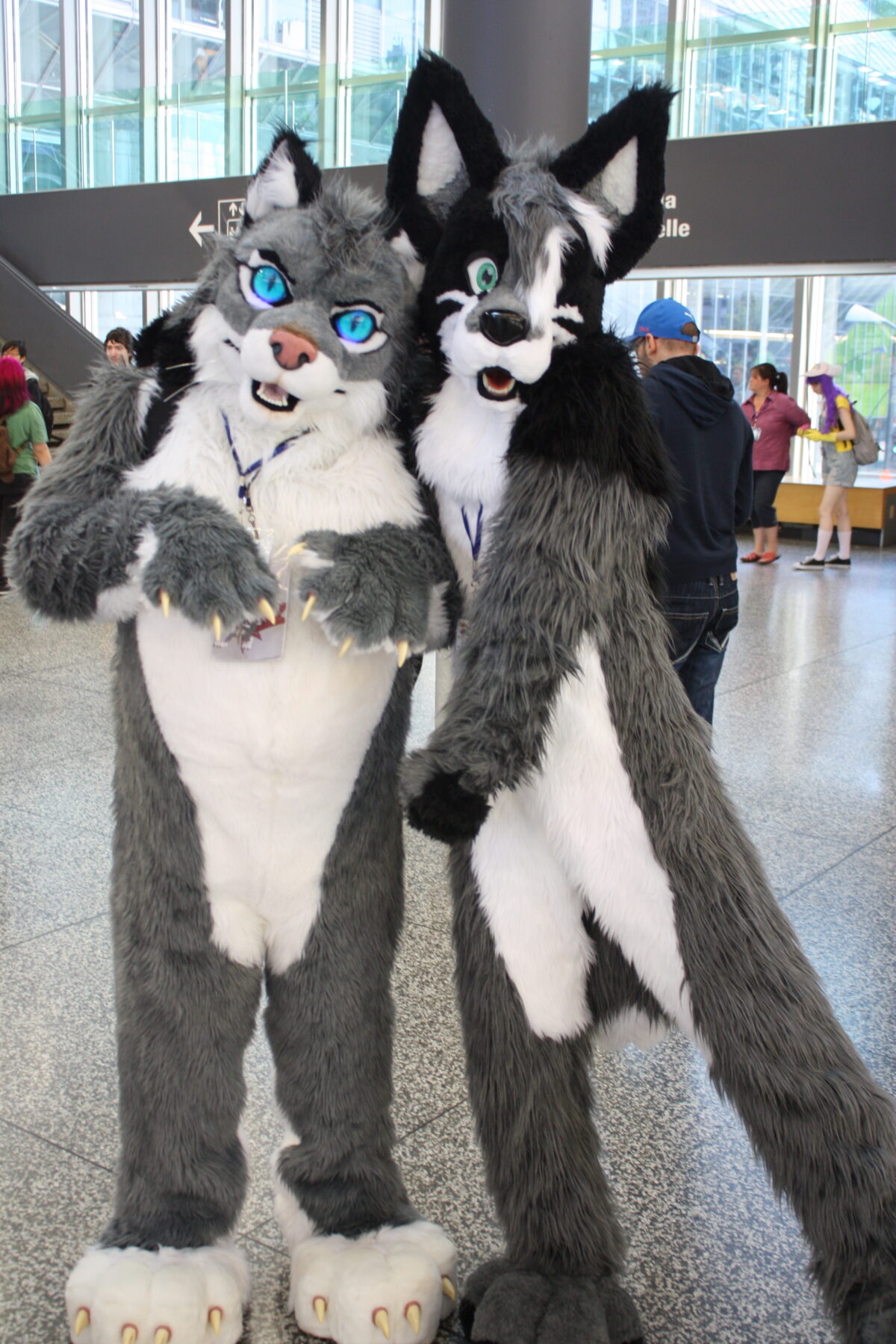 Let’s Talk About Furries - Safer Schools NI