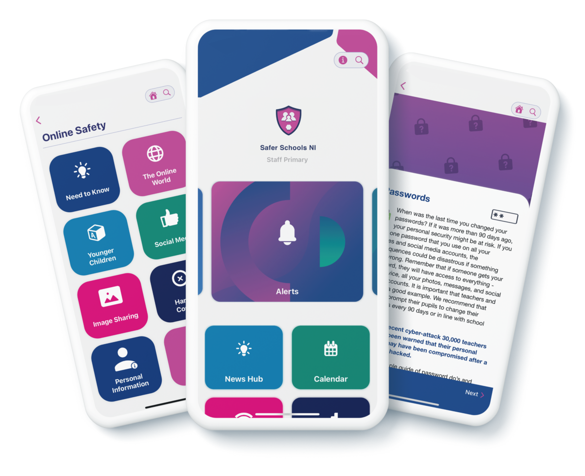 App Overview - Safer Schools NI