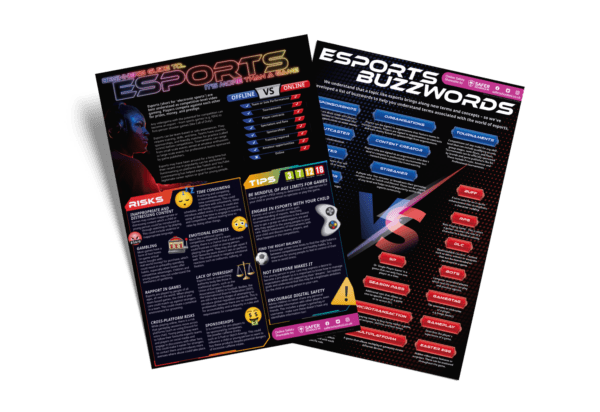 A Guide to Esports – More Than a Game - Safer Schools NI