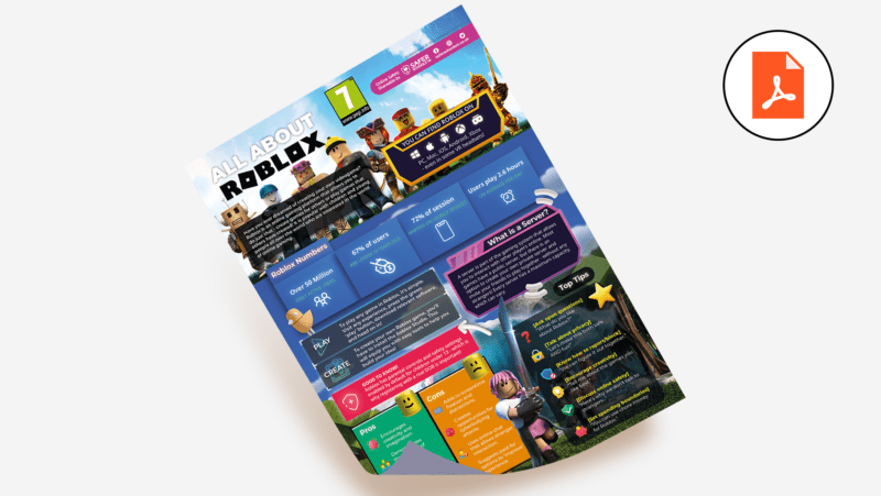 Navigating the Risks of Roblox - Safer Schools NI