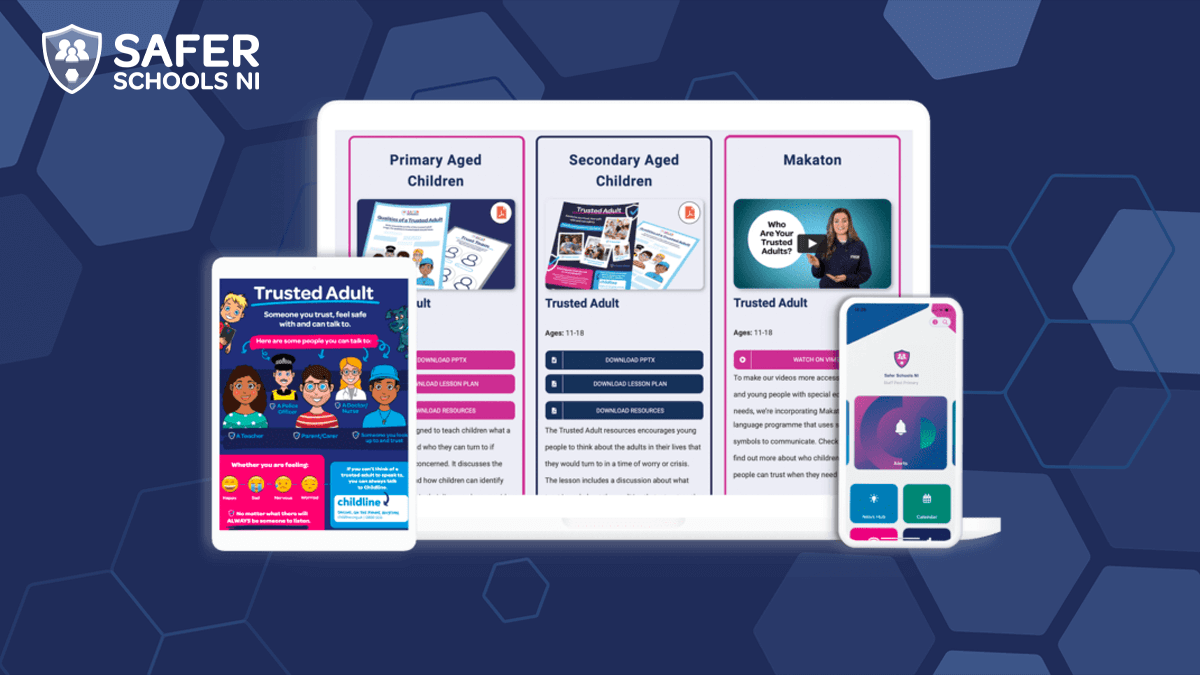 Programme of Work - Safer Schools NI